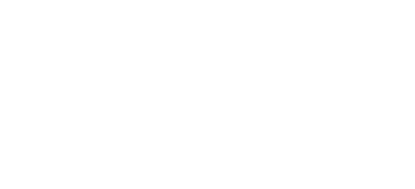 Mongoose - NEMO Arms